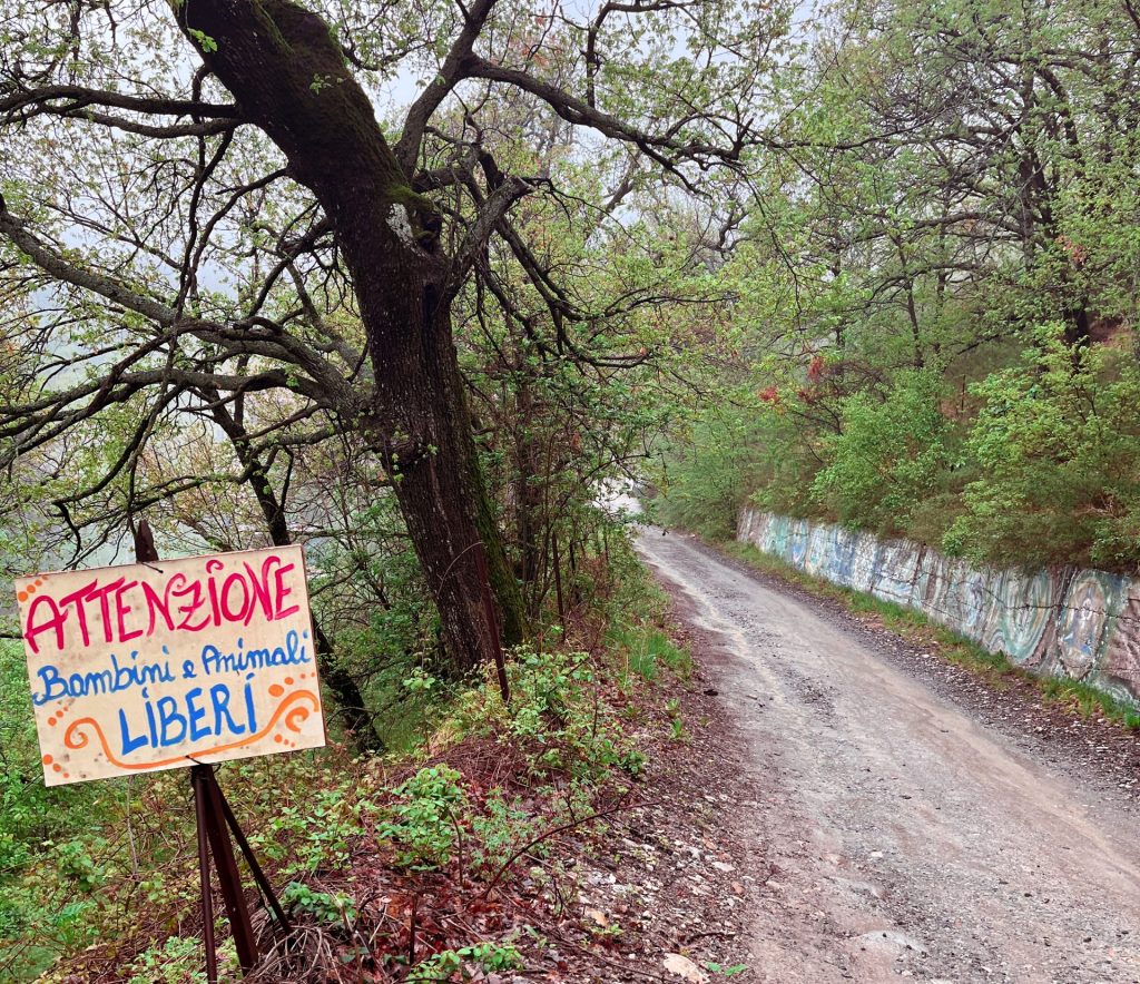 COME GLI ECOVILLAGGI RAPPRESENTANO UN'ESPERIENZA SOSTENIBILE. - Non ...